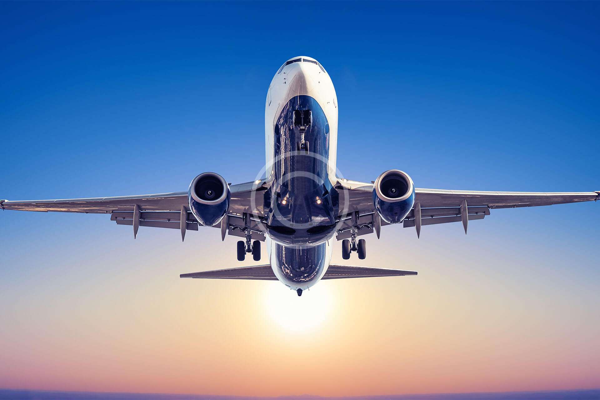 If Your Business Needs Cargo Shipping, We Can Help! – Seaway Logistics